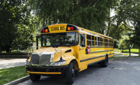 Magic School Bus Live-Action Film Lands Detective Pikachu Director ...